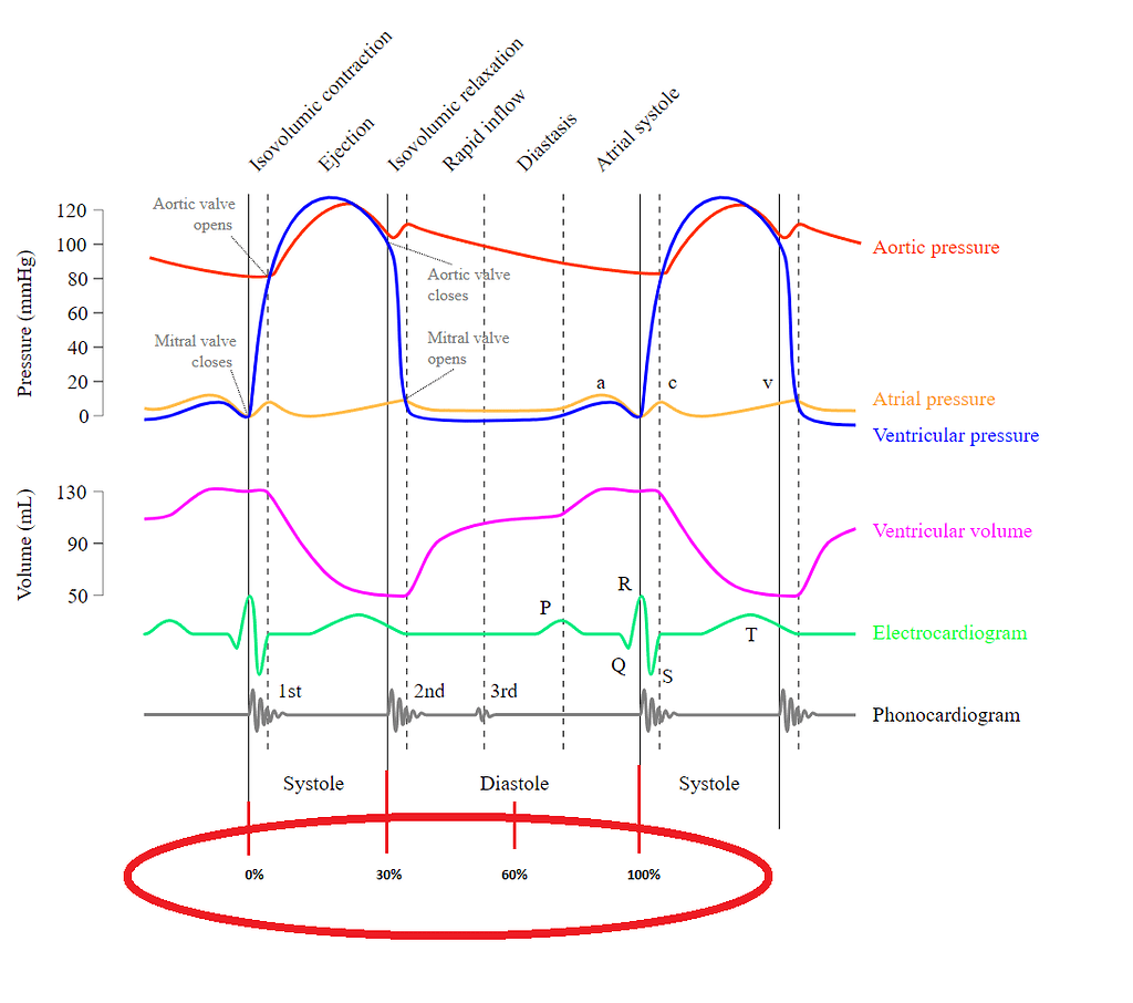 Reading the ECG data - Pulse Physiology Engine - Kitware
